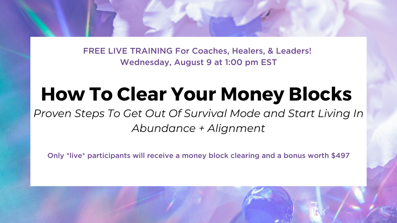 Bringing a People First Approach To Business with Vanessa Farino - Emily Aarons